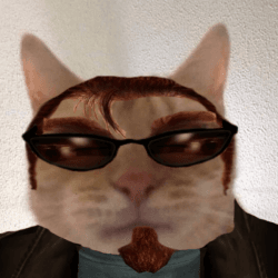 Roblox Cat IDs - RoCodes.gg - RoCodes