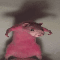 Rat Dance Meme IDs - RoCodes.gg - RoCodes
