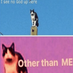 Get Out Meme IDs - RoCodes.gg - RoCodes