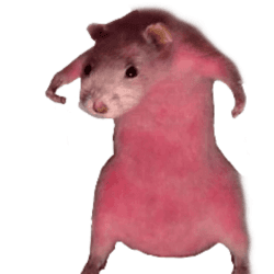 Rat Dance Meme IDs - RoCodes.gg - RoCodes