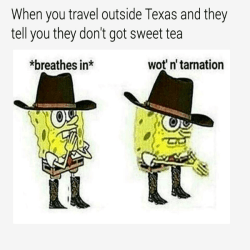 Get Out Meme IDs - RoCodes.gg - RoCodes