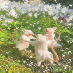 Rat Dance Meme IDs - RoCodes.gg - RoCodes