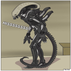 Locked in Alien Meme IDs - RoCodes.gg - RoCodes