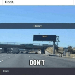 Get Out Meme IDs - RoCodes.gg - RoCodes