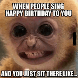 Roblox Meme Decal IDs - RoCodes.gg - RoCodes