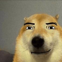 Roblox Meme Decal IDs - RoCodes.gg - RoCodes