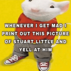 Get Out Meme IDs - RoCodes.gg - RoCodes