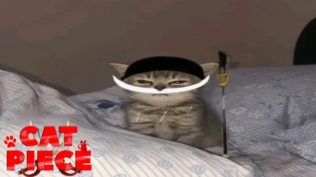 Radiant Residents Codes (May 2025) - RoCodes