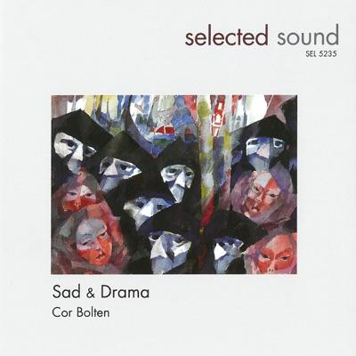 Cornelus Bolten - Sad Violin Roblox Music Code - RoCodes